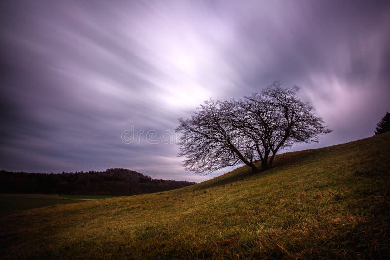 Stormclouds and tree stock photo. Image of meadows, weather - 66201050