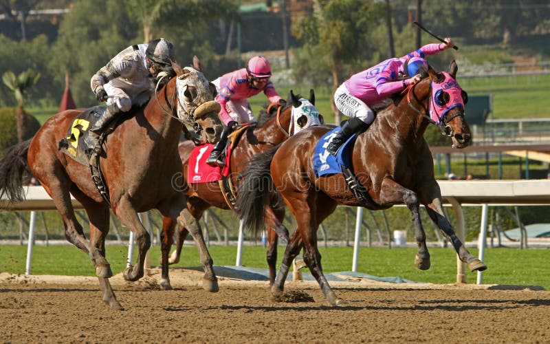 Storming Down the Homestretch Editorial Photography - Image of ...