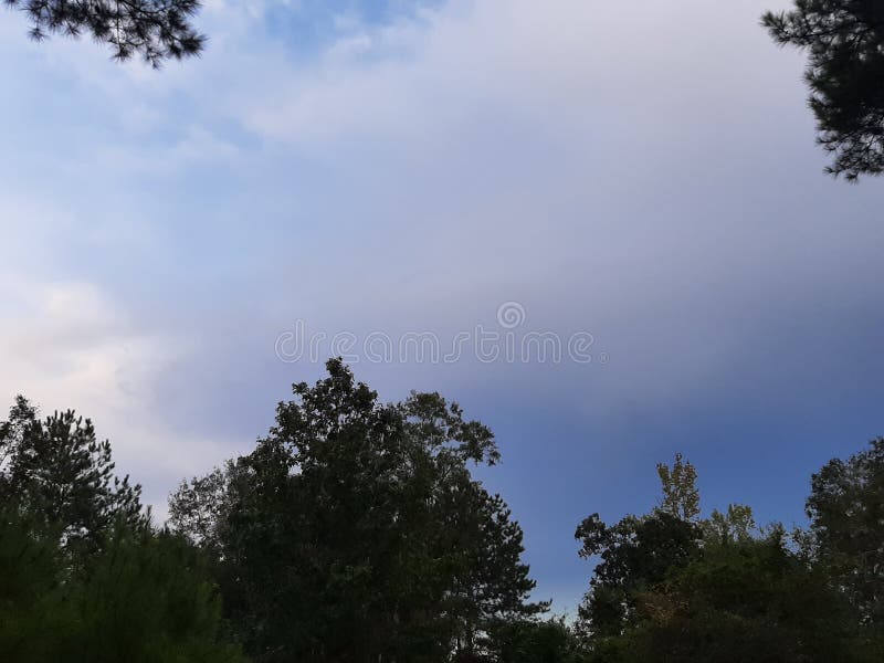 Storms coming in stock image. Image of grass, branch - 205343795
