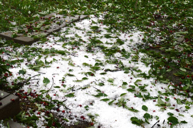 Storms and Hail in the Yard Stock Image - Image of nature, beautiful ...