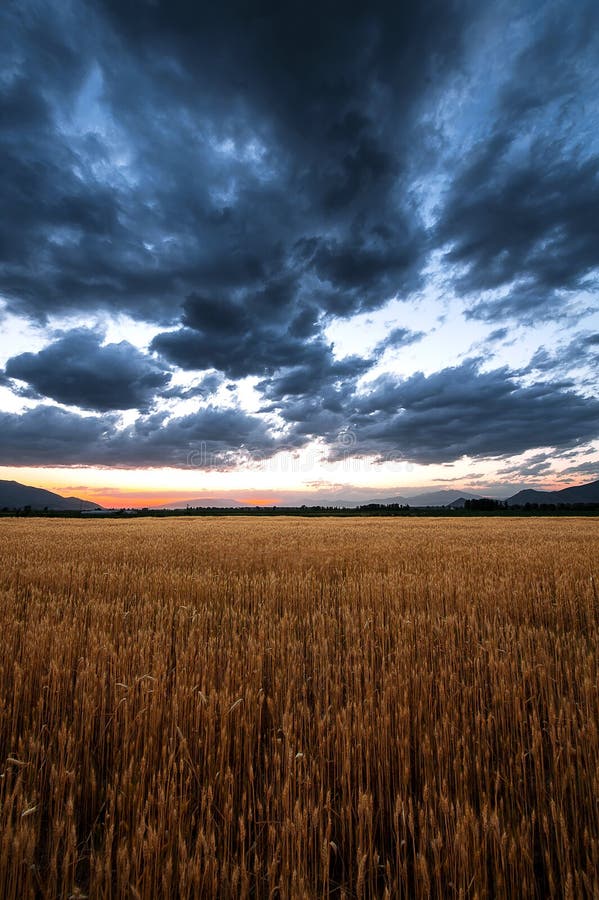Stormy Clouds Over the a Field Stock Photo - Image of summer, abstract ...