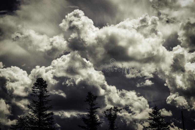 Stormy Clouds over Trees stock image. Image of outside - 228194213