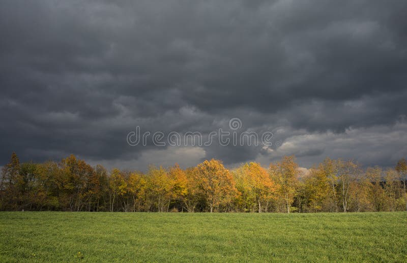 Stormy Dark Clouds Over the Trees and Field. the Fall Scene. Stock ...