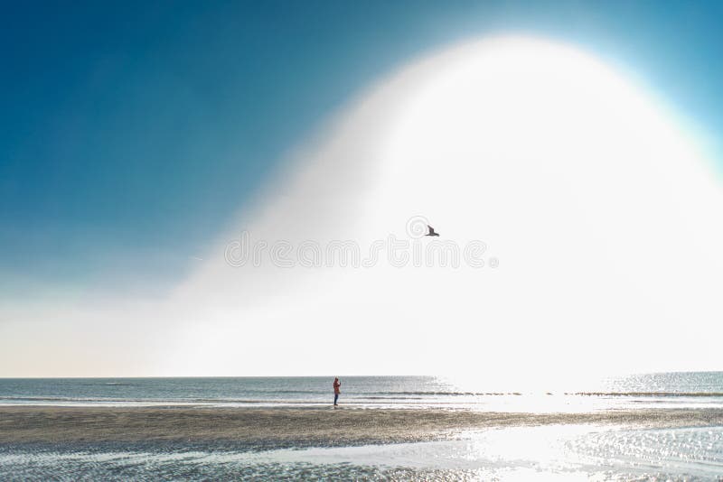 Stormy Day at the North Sea. North Sea Beach Stock Image - Image of ...