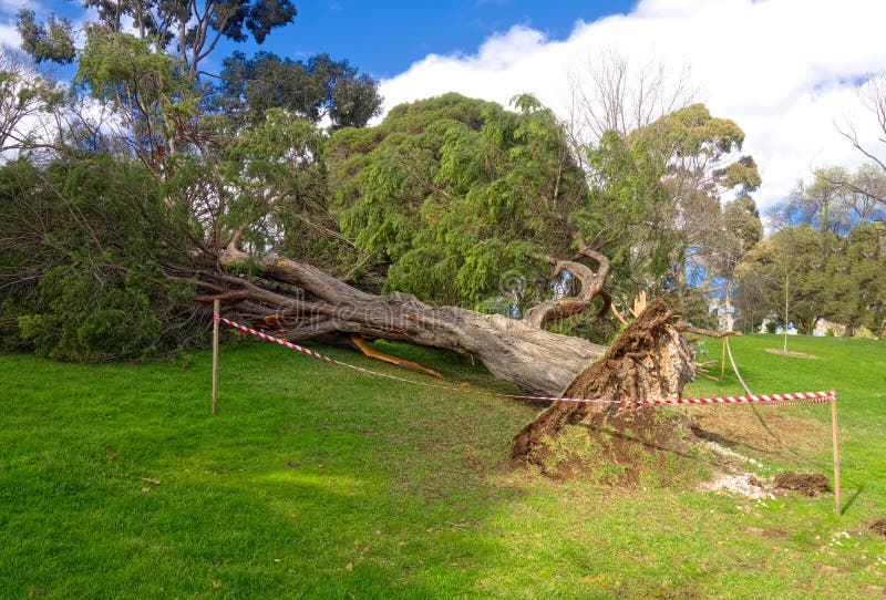 Stormy monday stock photo. Image of wind, storm, windy - 32949970