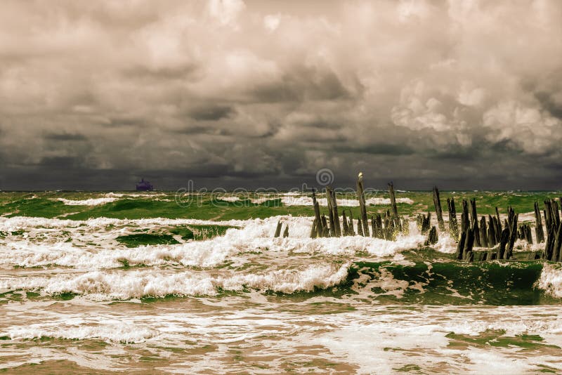 Stormy seashore stock photo. Image of rock, natural, sand - 57968396