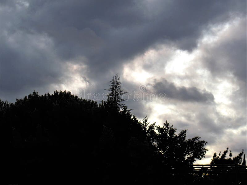 Stormy Sky with Pine Tree on Hill Stock Photo - Image of skies, stormy ...