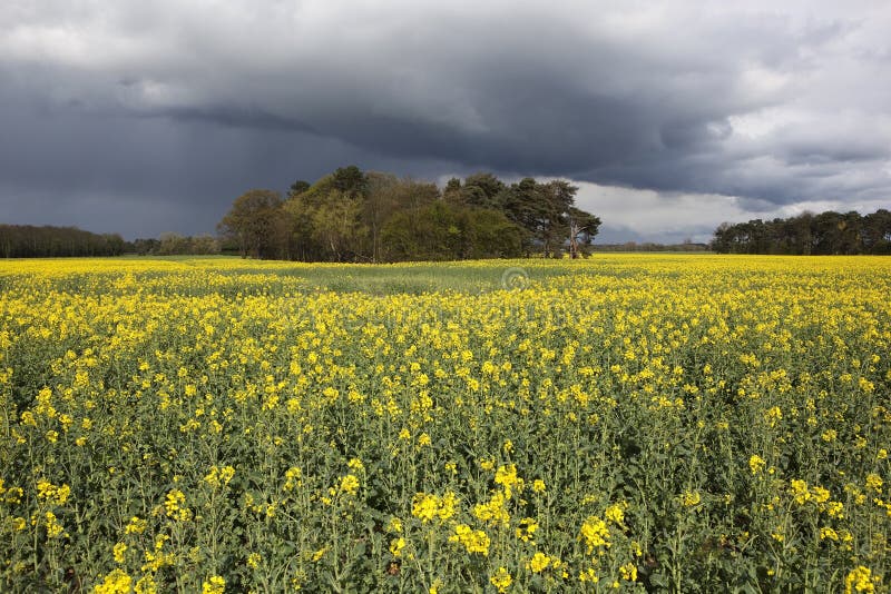 Stormy sky landscape stock photo. Image of rural, stormy - 24300230