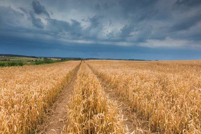 Stormy sky over field stock photo. Image of shelf, heaven - 57587700