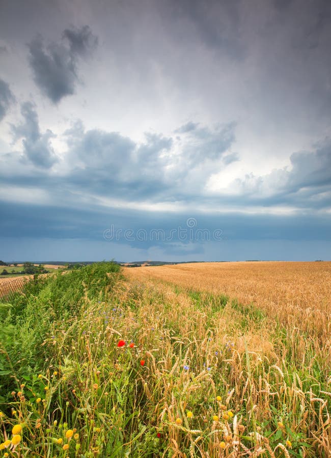 Stormy sky over field stock image. Image of heavy, land - 57587765