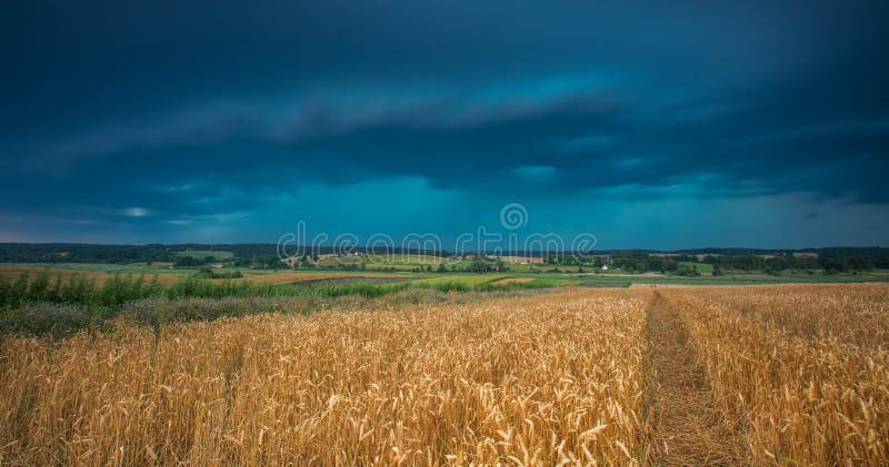 Stormy sky over field stock image. Image of dramatic - 57588183