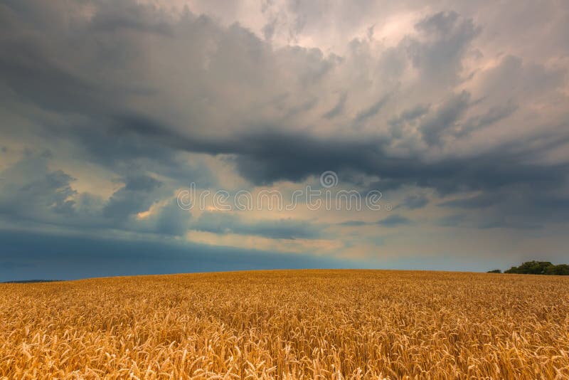 Stormy sky over field stock image. Image of natural, color - 57588679