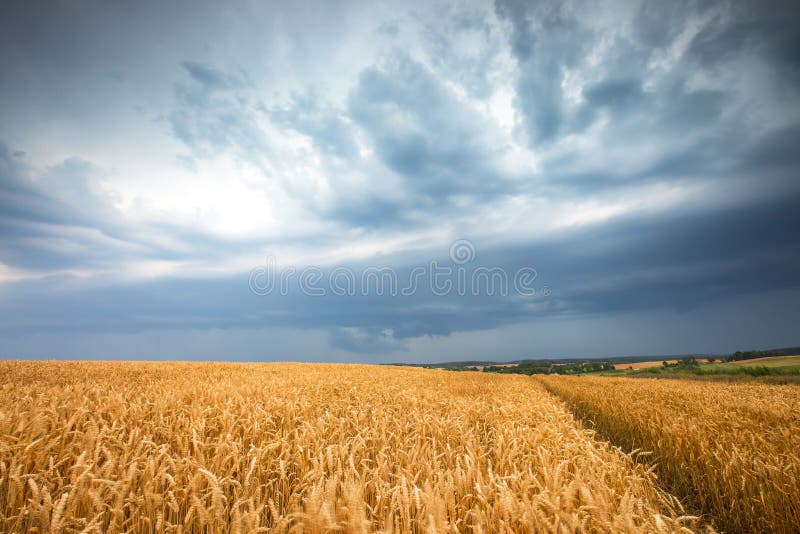 Stormy sky over field stock photo. Image of agriculture - 58840146