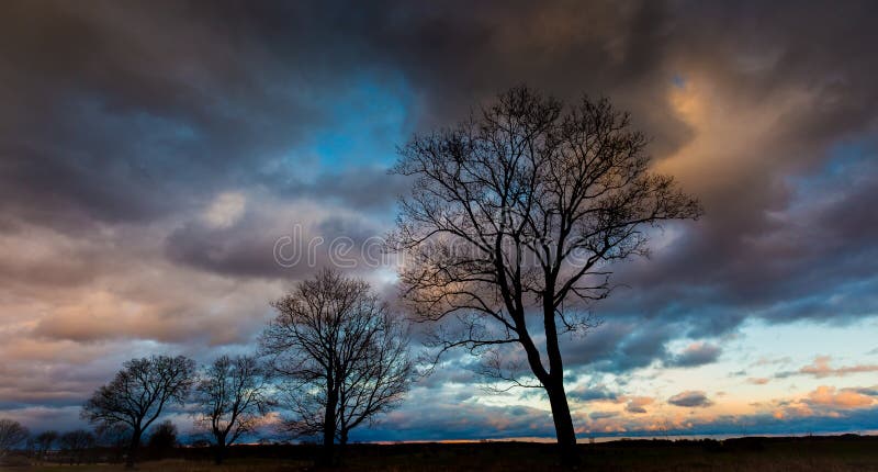 Stormy Sky Over Field and Trees Stock Image - Image of disaster, scenic ...