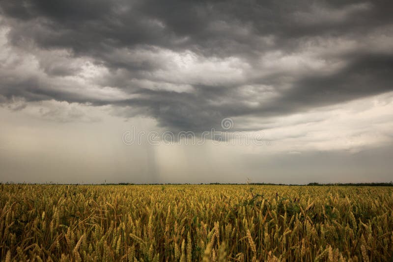 Stormy sky over the fields stock image. Image of storm - 86011949