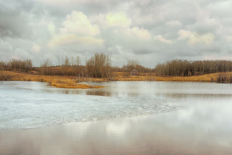 Stormy Spring Landscape of a Melting Pond Stock Photo - Image of spring ...