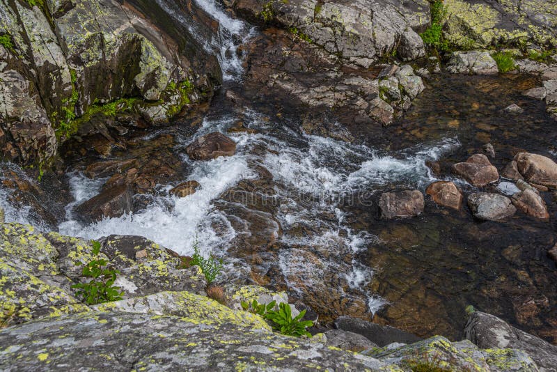 A Stormy Stream of a Swift Mountain River Flows through the Forest ...