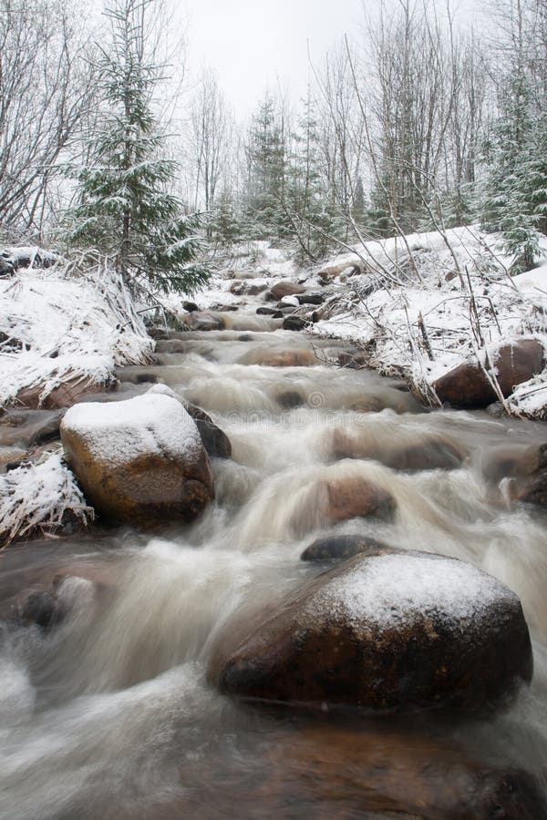 Stormy Stream in Spring Forest Stock Photo - Image of landscape ...
