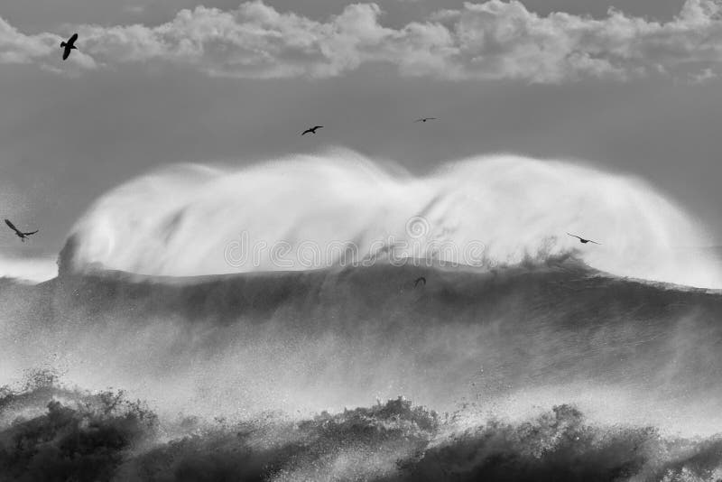 Sea Wave with Spray and Foam Near the Shore Stock Image - Image of ...