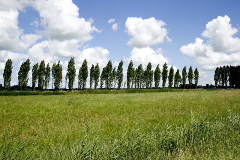 Stormy weather stock image. Image of trees, crisp, field - 11038059