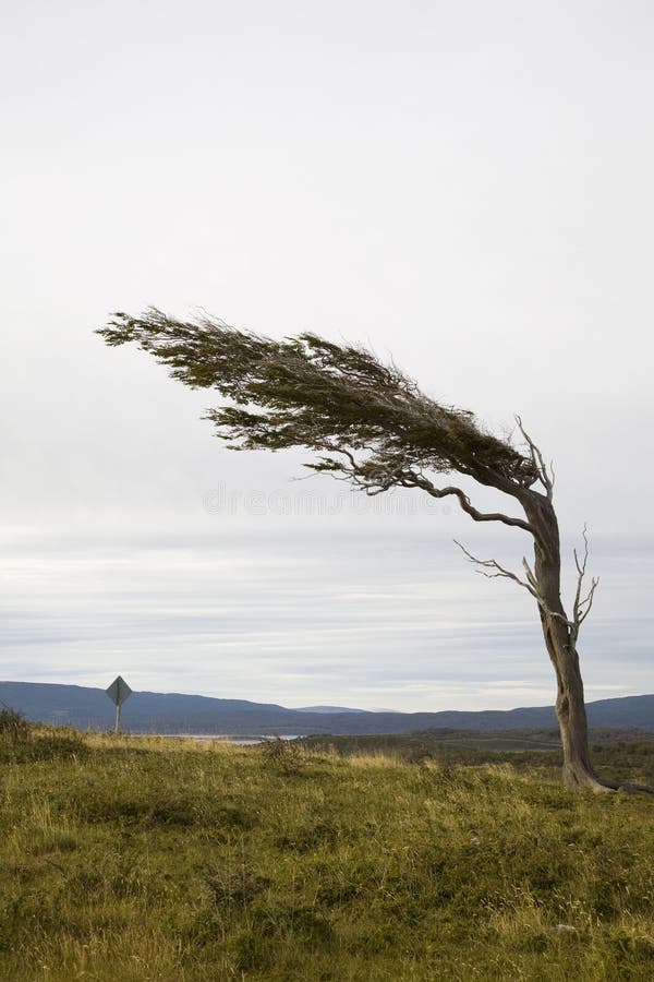Stormy weather stock photo. Image of clouds, tree, natural - 5842792