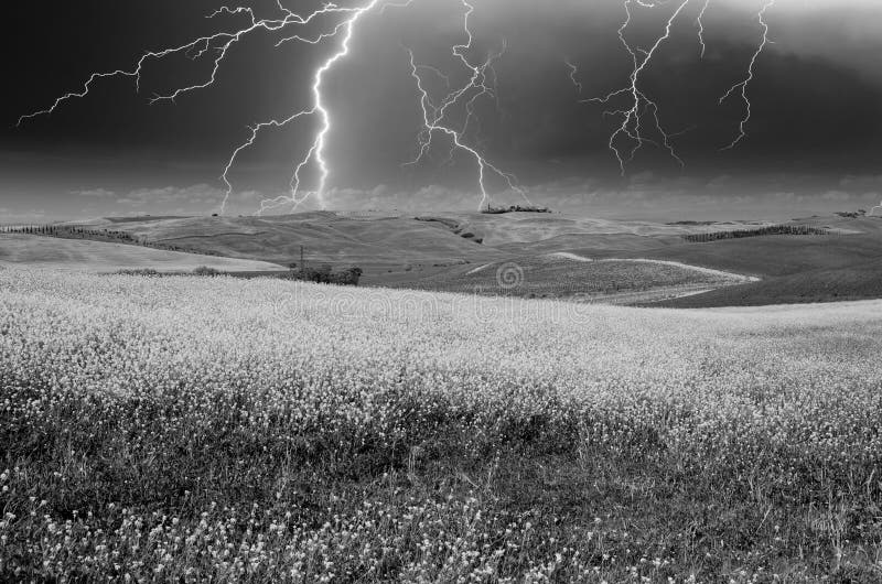 Stormy Weather Above Tuscan Meadow, Spring Time Stock Image - Image of ...