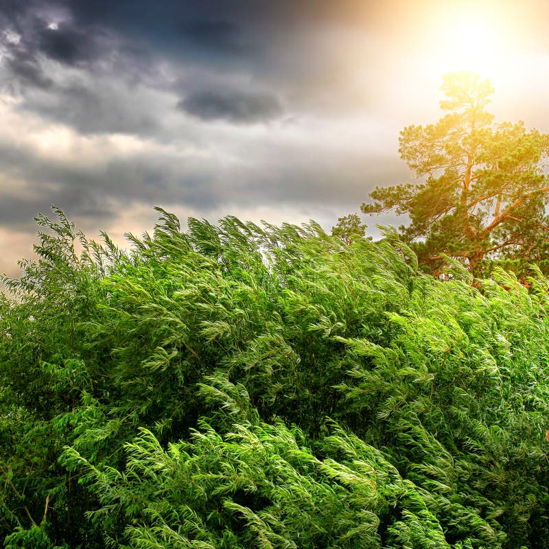 Stormy Weather stock photo. Image of overcast, bend, gloomy - 41824072