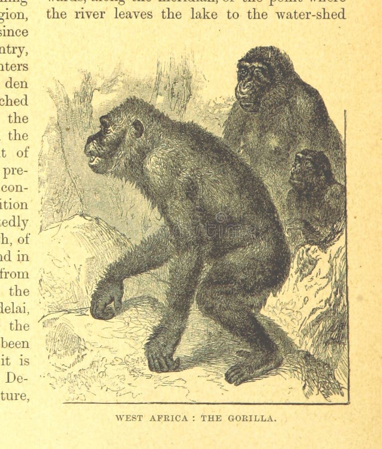 British Library Digitised Image From Page 652 Of "The Story Of Africa ...