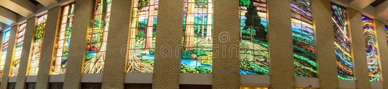 Story of Creation Using Outback Rainforest Editorial Image - Image of ...