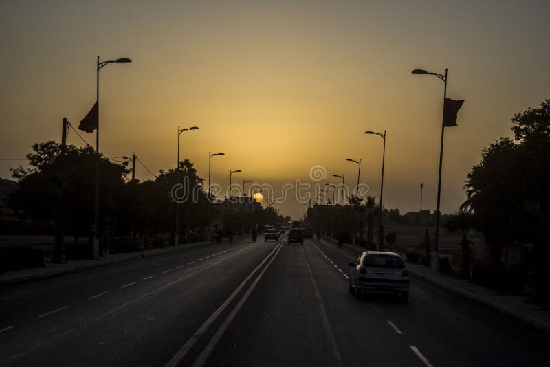 Morocco ouled teima stock image. Image of animals, beautiful - 173852605