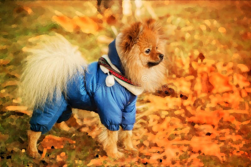 The Story of Spitz in the Blue Sweater in the Mysterious Bright ...