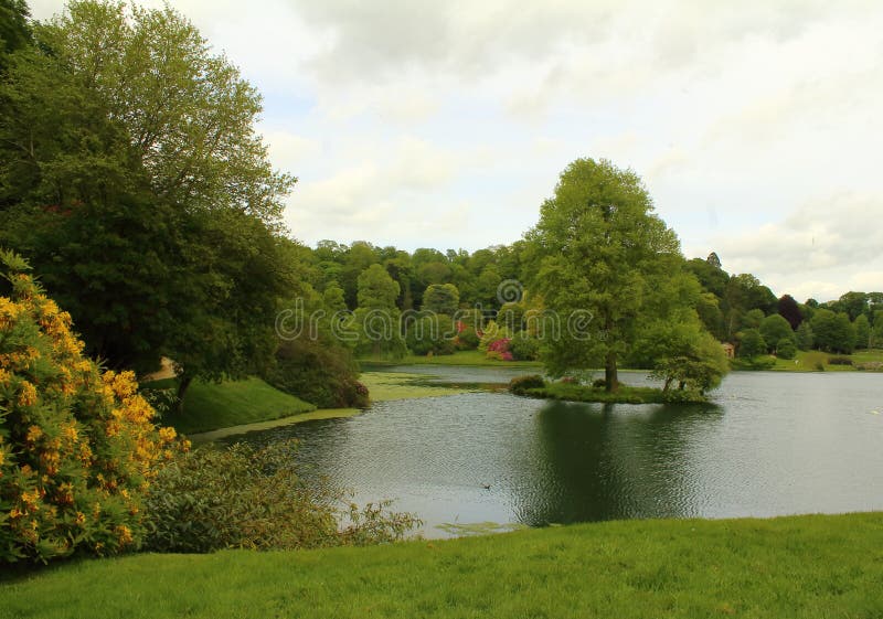 Lake and foliage stock image. Image of flora, lakeside - 54810001