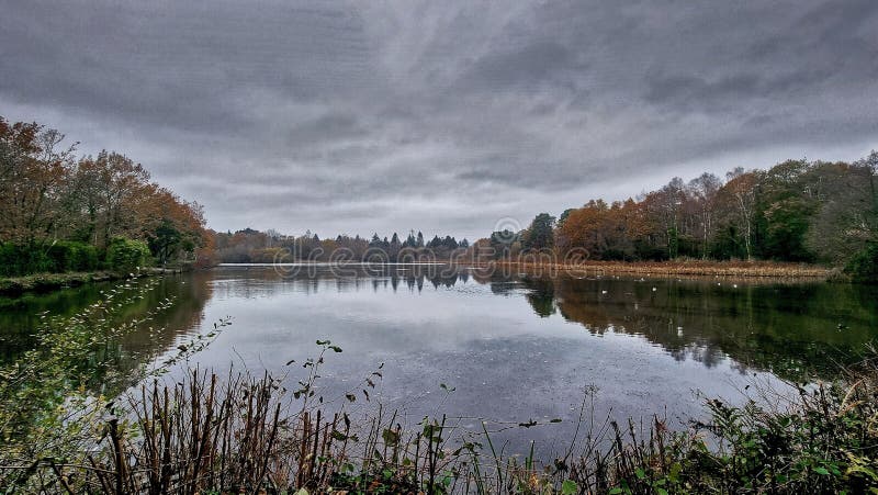Stover County Park, Newton Abbot, Devon Uk Stock Image - Image of park ...