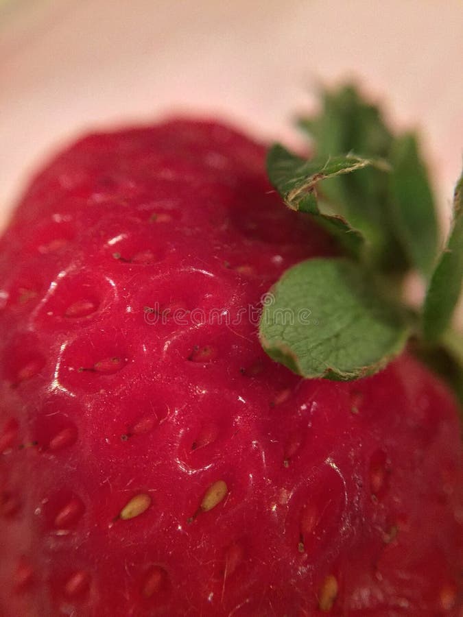 Straberry stock photo. Image of straberry, food, fresh - 70162122