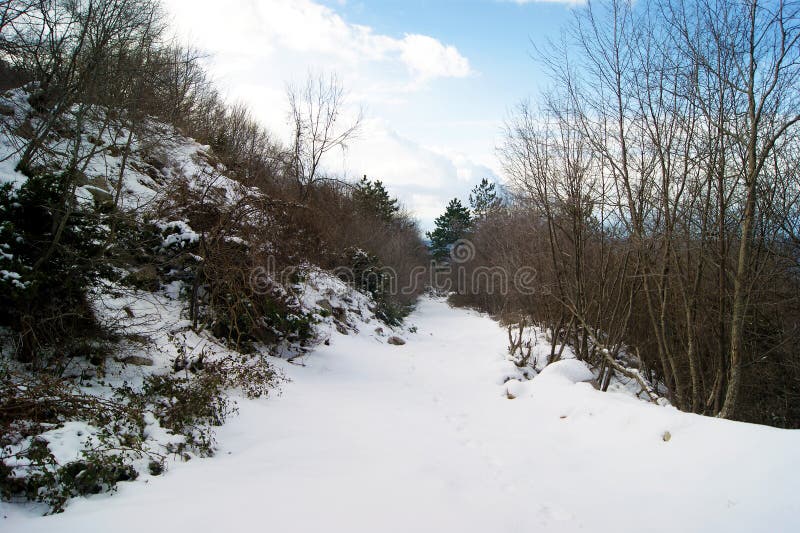 Strada innevata immagine stock. Immagine di direzione - 62804325