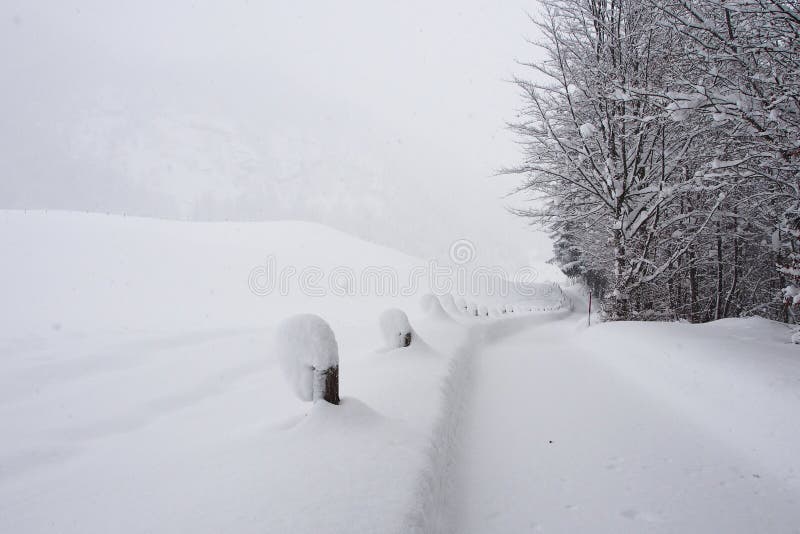 Strada innevata fotografia stock. Immagine di alberi - 139477540