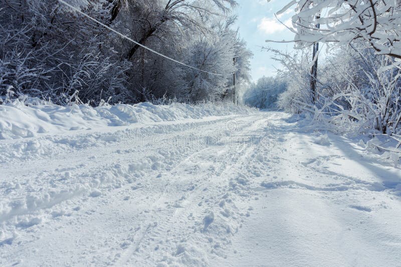 Strada Innevata Nella Foresta Nell'inverno Immagine Stock - Immagine di ...