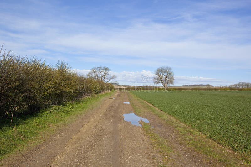 Strada poderale fangosa immagine stock. Immagine di stormy - 63101421
