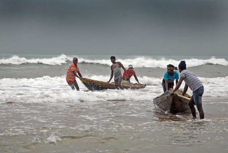 Straggle for Survival editorial photography. Image of colour - 27829702