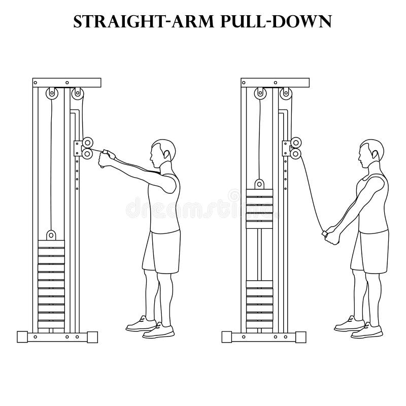 Straight-arm Pull-down Exercise Strength Workout Vector Illustration ...