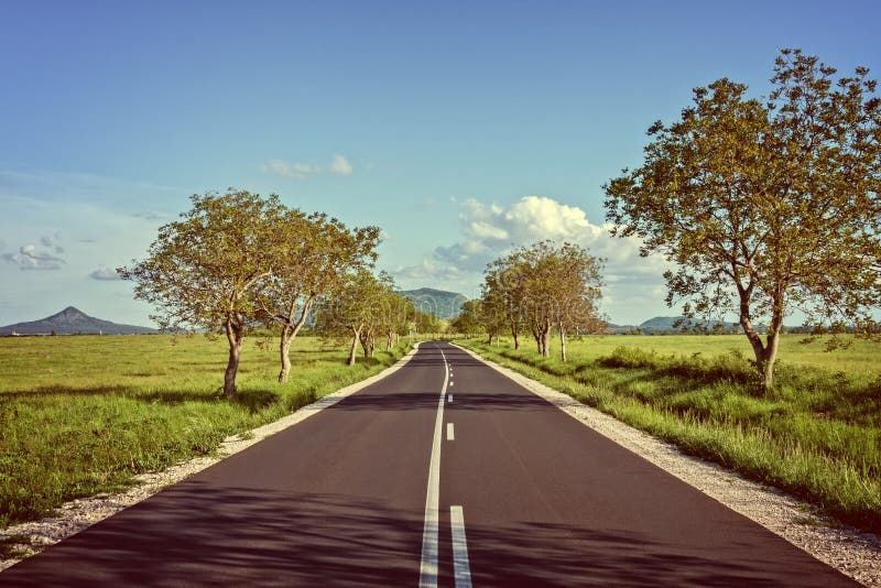 Straight Asphalt Road Leading into the Distance Stock Photo - Image of ...