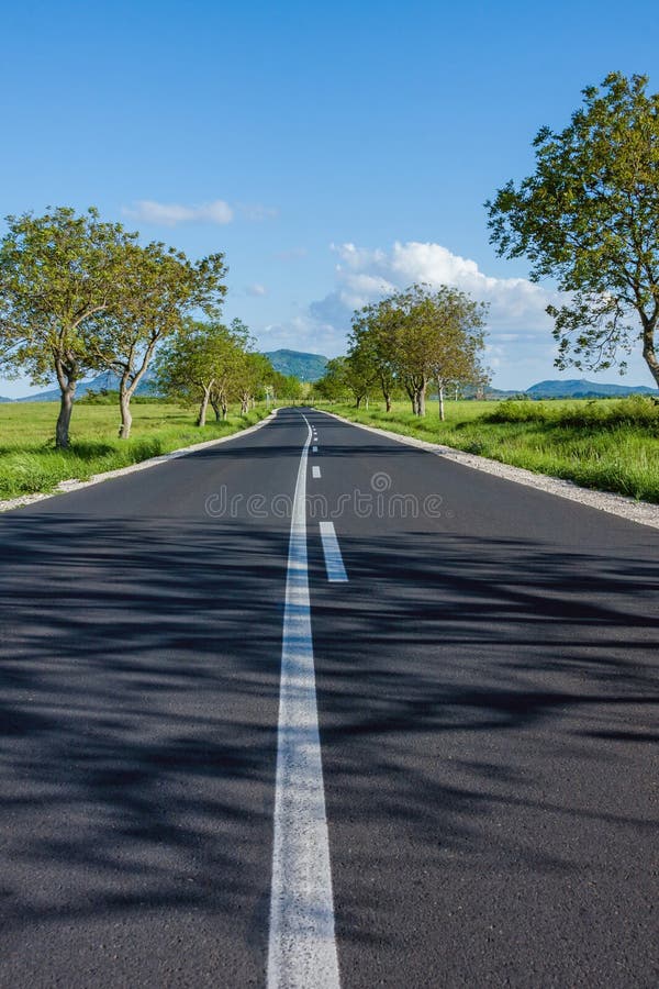 Straight asphalt road stock photo. Image of journey, field - 16128958