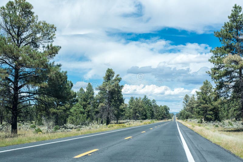 Straight Asphalt Road Trees on Both Sides with a Cloudy Sky on the ...