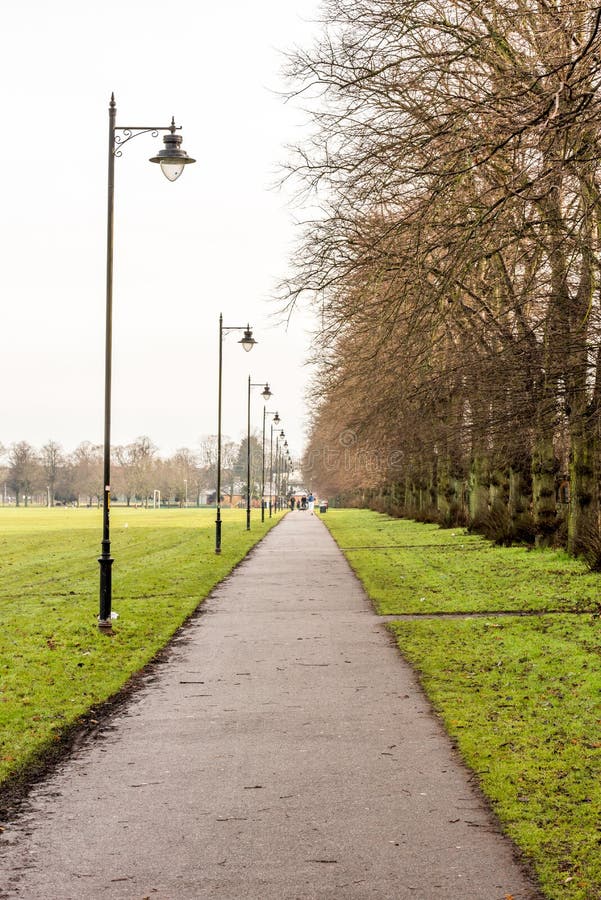 Straight Avenue in Park with Lamp Posts, Path Way, England Stock Image ...