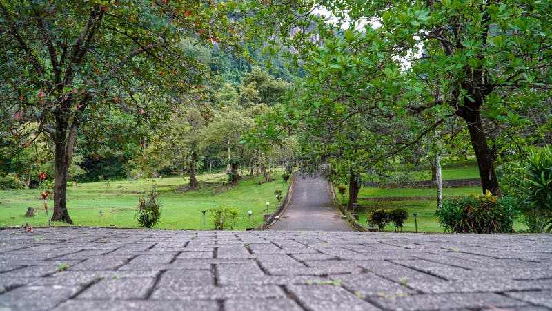 Low Angle Photo of a Path in a Park. Bumpy Path in the Park Stock Photo ...