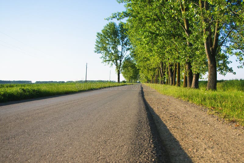 Straight Empty Road in Afternoon Stock Image - Image of road, grass ...