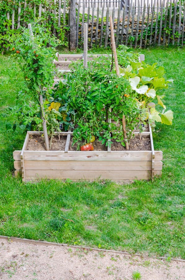 Straight Farming, Kitchen Garden Stock Photo - Image of tree, garden ...