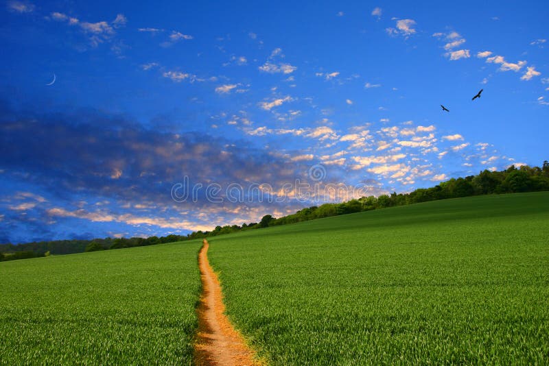 127,125 Horizon Path Stock Photos - Free & Royalty-Free Stock Photos ...