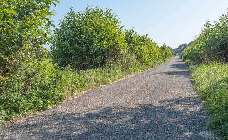 Straight and Flat Cycle Path Stock Photo - Image of landscape, route ...