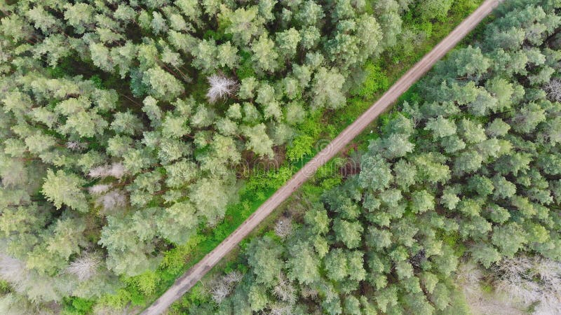 A Straight Forest Road. View from a Drone. Stock Photo - Image of ...